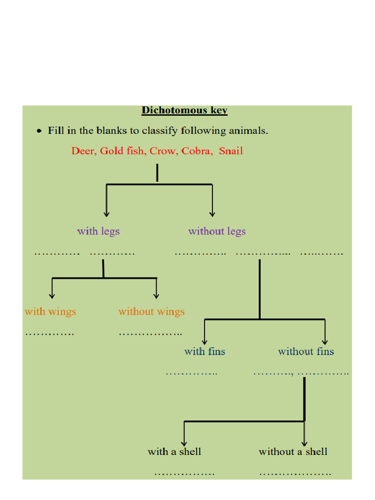 Dichotomous_key | PDF