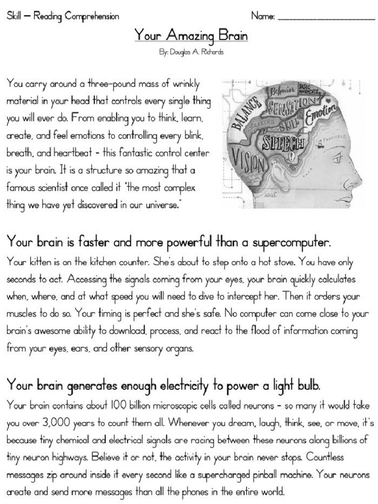 Your Amazing Brain Reading Comprehension | PDF
