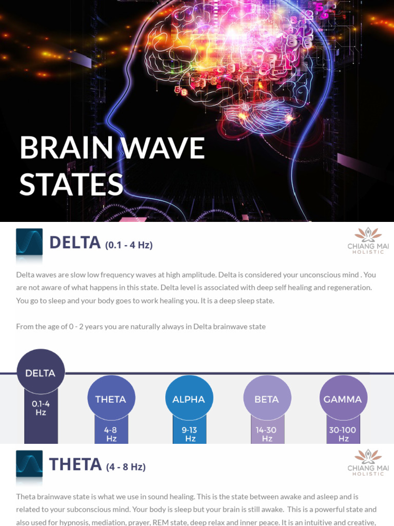 Brainwave | PDF