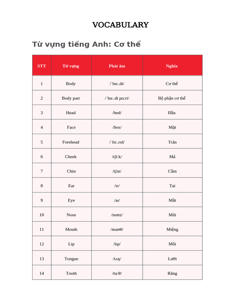 Vocab 6 | PDF