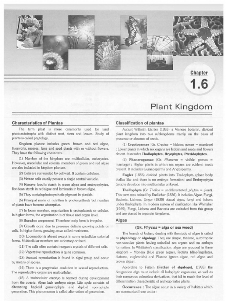 Plant Kingdom | PDF