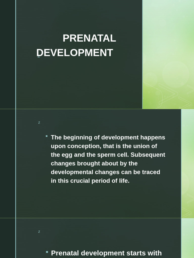 Chapter 4 - Prenatal Development | PDF | Pregnancy | Prenatal Development