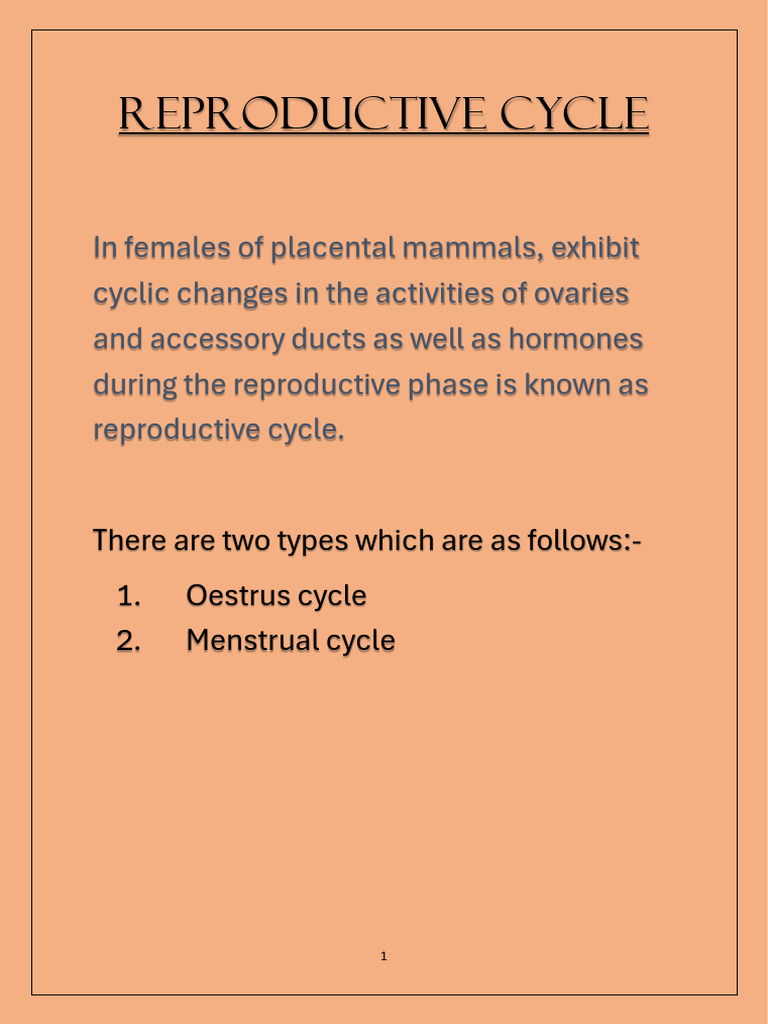 Menstruation project | PDF | Menstrual Cycle | Ovary