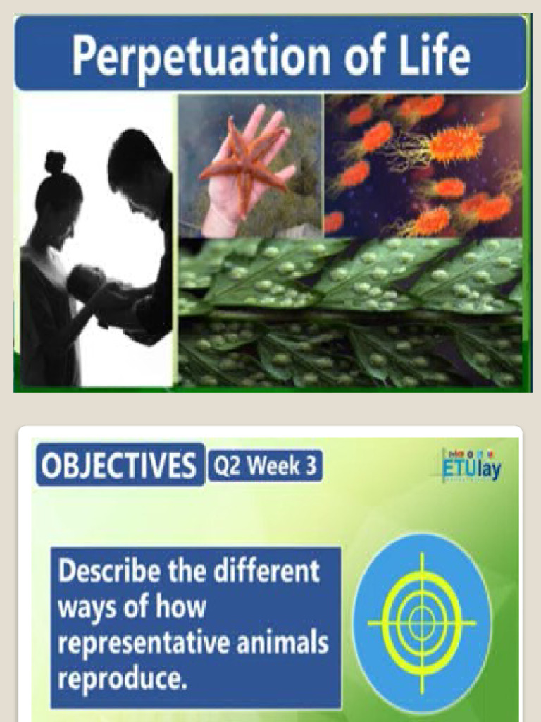Els q2 Week 2 Lesson 3 | PDF