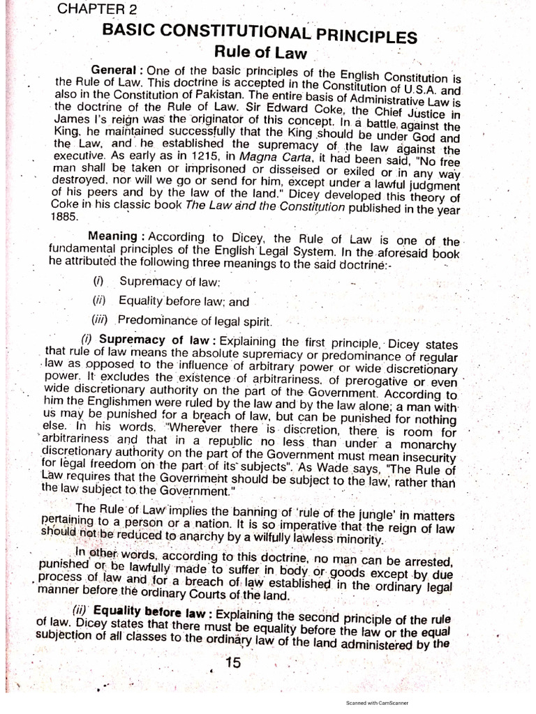 1604638432 Basic Constitutional Principles | PDF