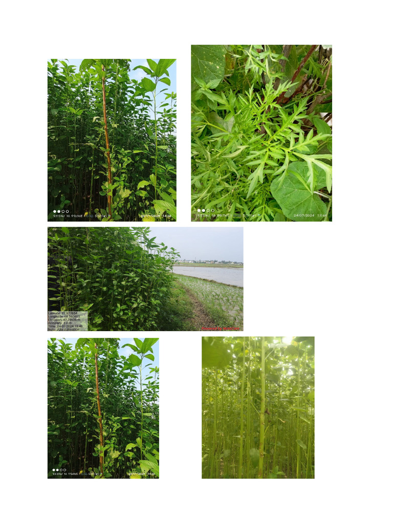 dscc 2 field note book without magra map | PDF