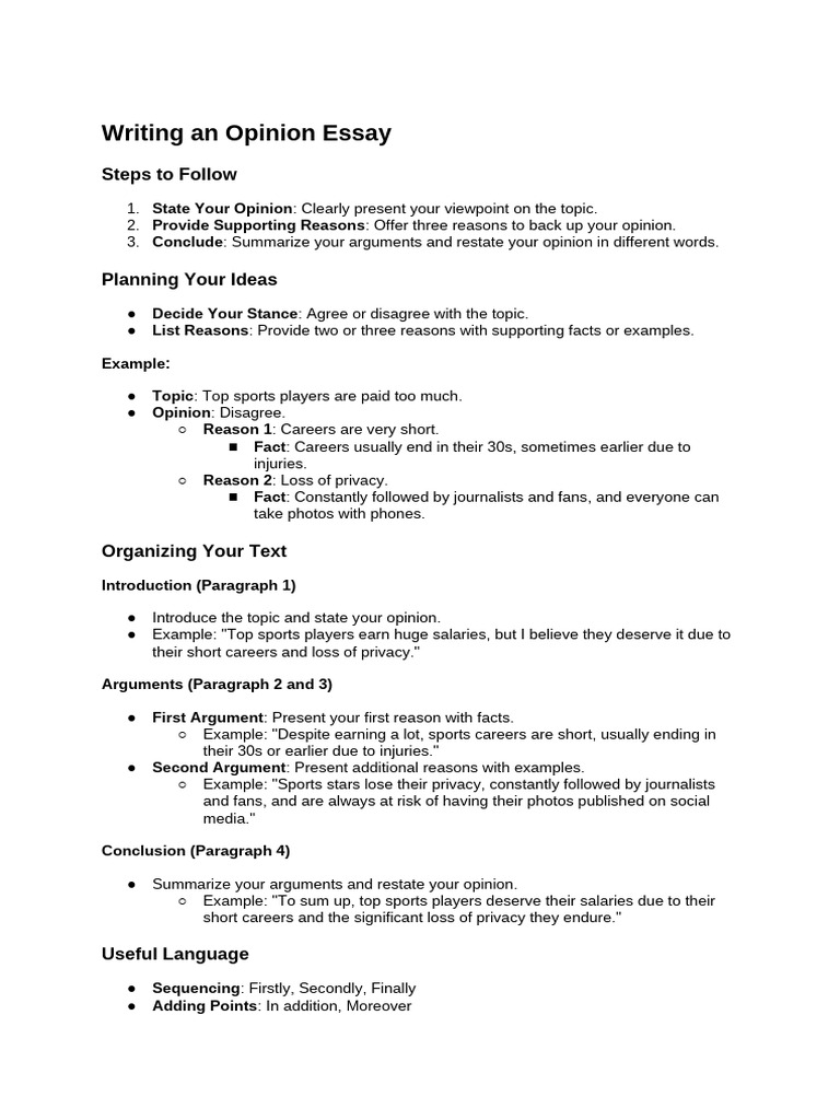 Opinion Essay on Summer Holidays' Impact | PDF