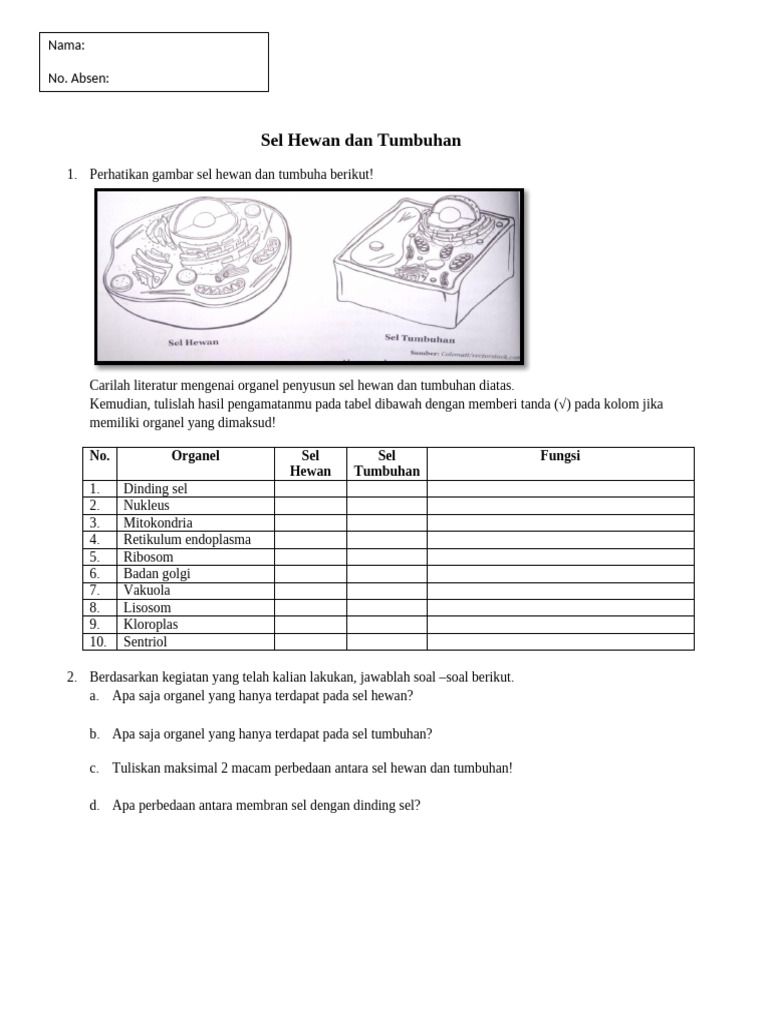 Soal Sel Kelas 8 | PDF