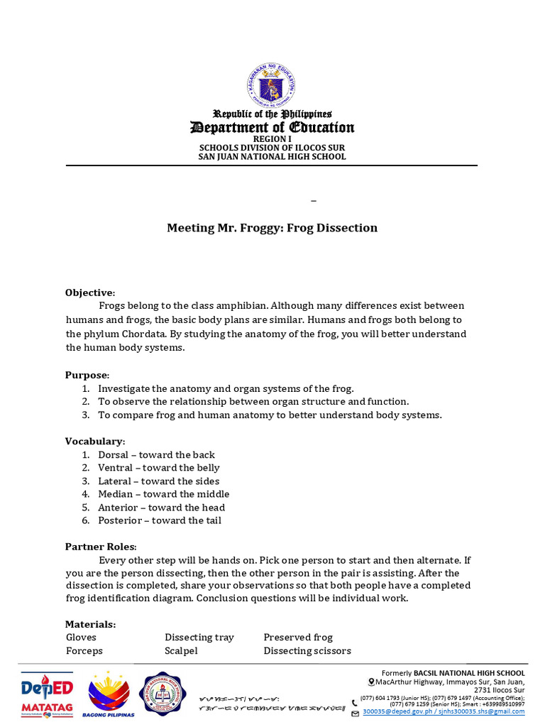 Frog Dissection Lab Guide for Students | PDF | Liver | Stomach