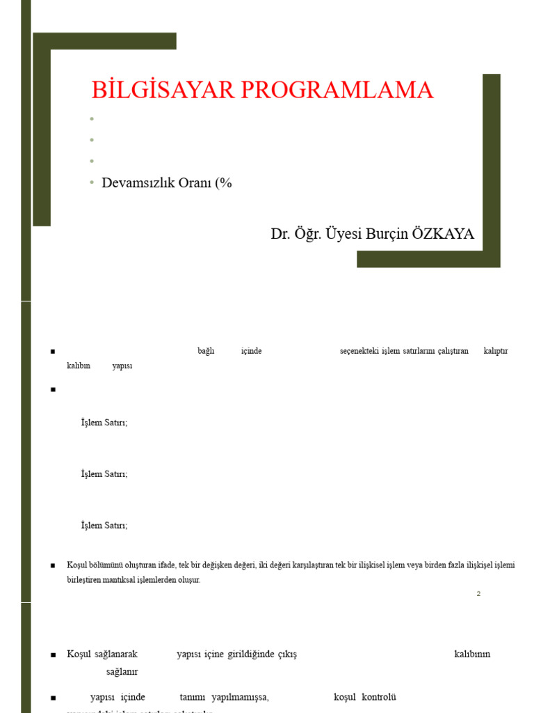 Hafta - Bilgisayar Programlama | PDF