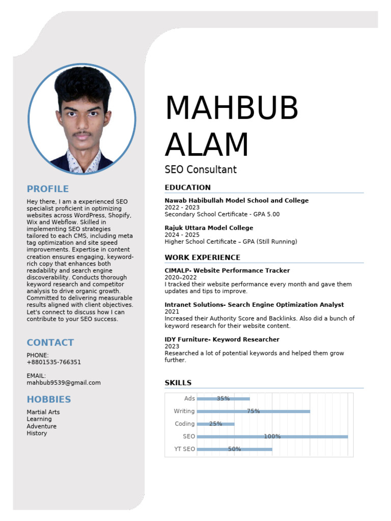 CV For Native | PDF