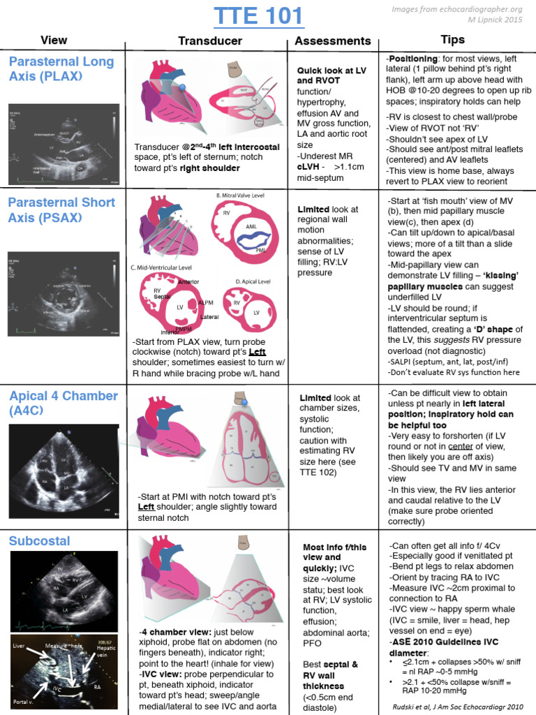 Guide to TTE Combined | PDF | Heart | Aorta