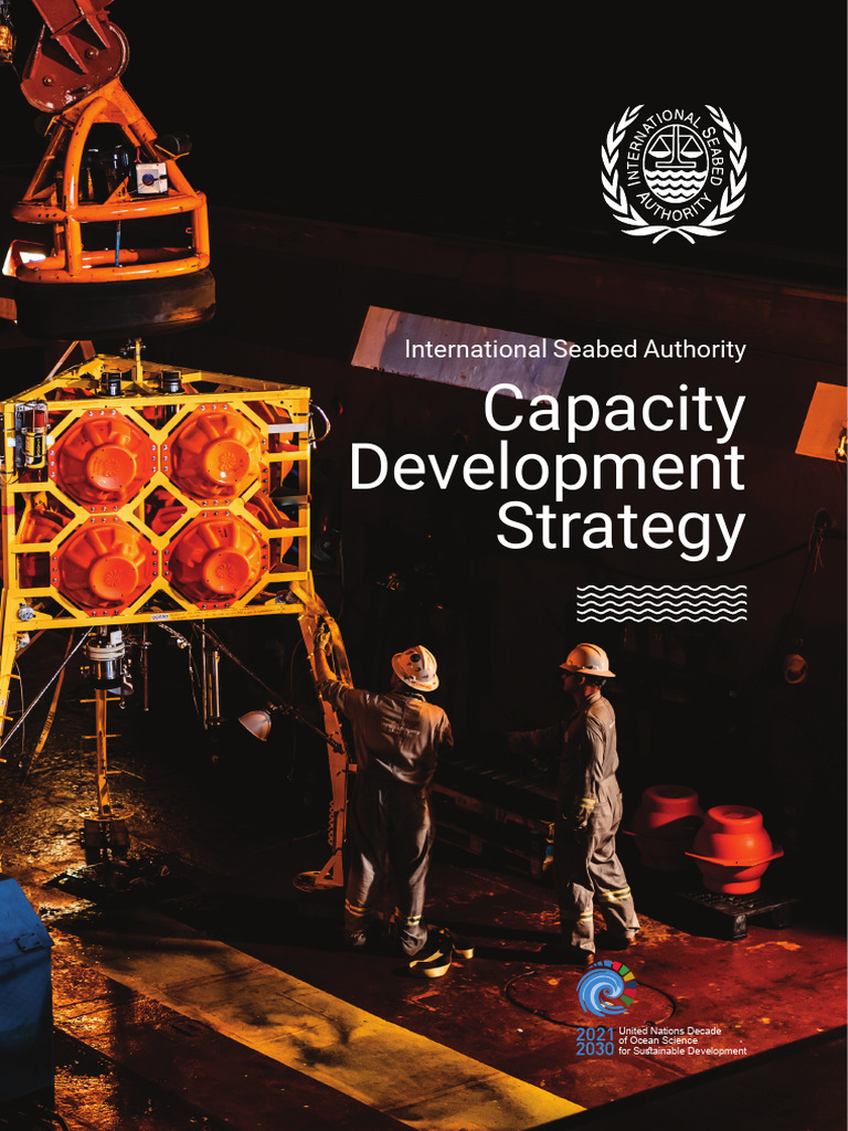ISA Capacity Development Strategy 2022 | PDF | Capacity Building ...