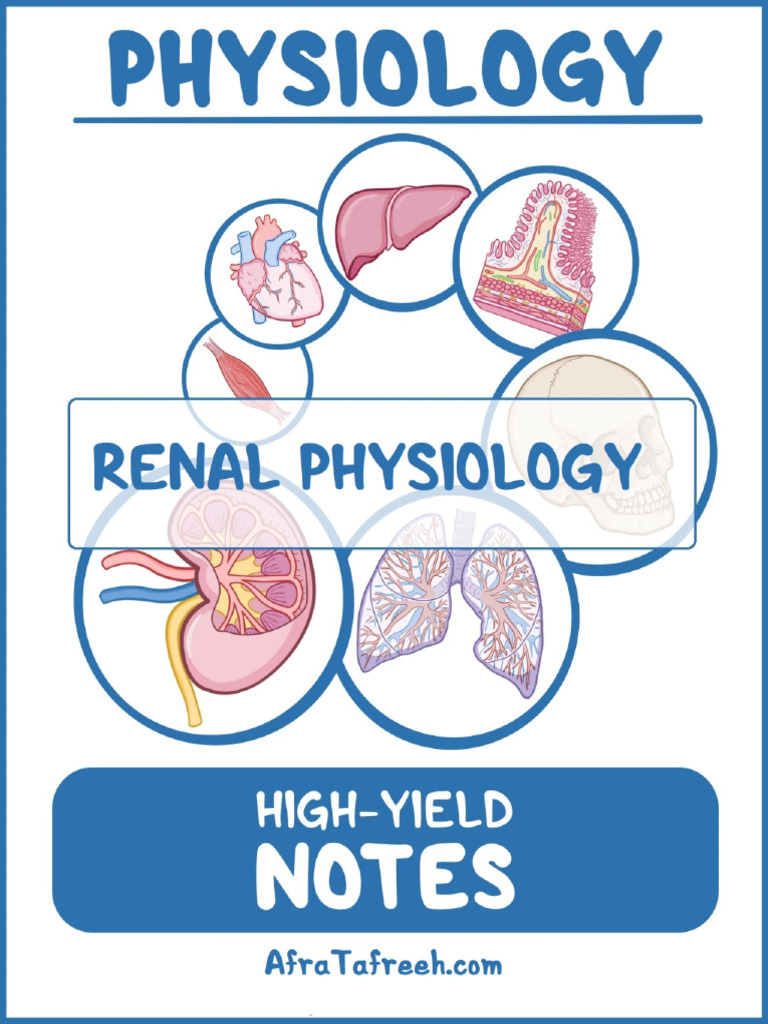 renal physio notes | PDF