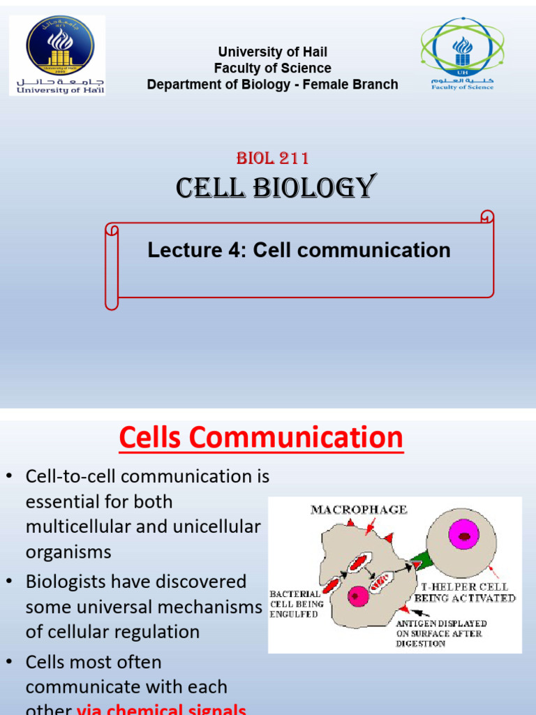 Lecture 4 - Cell Communication | PDF | Cell Signaling | Signal Transduction