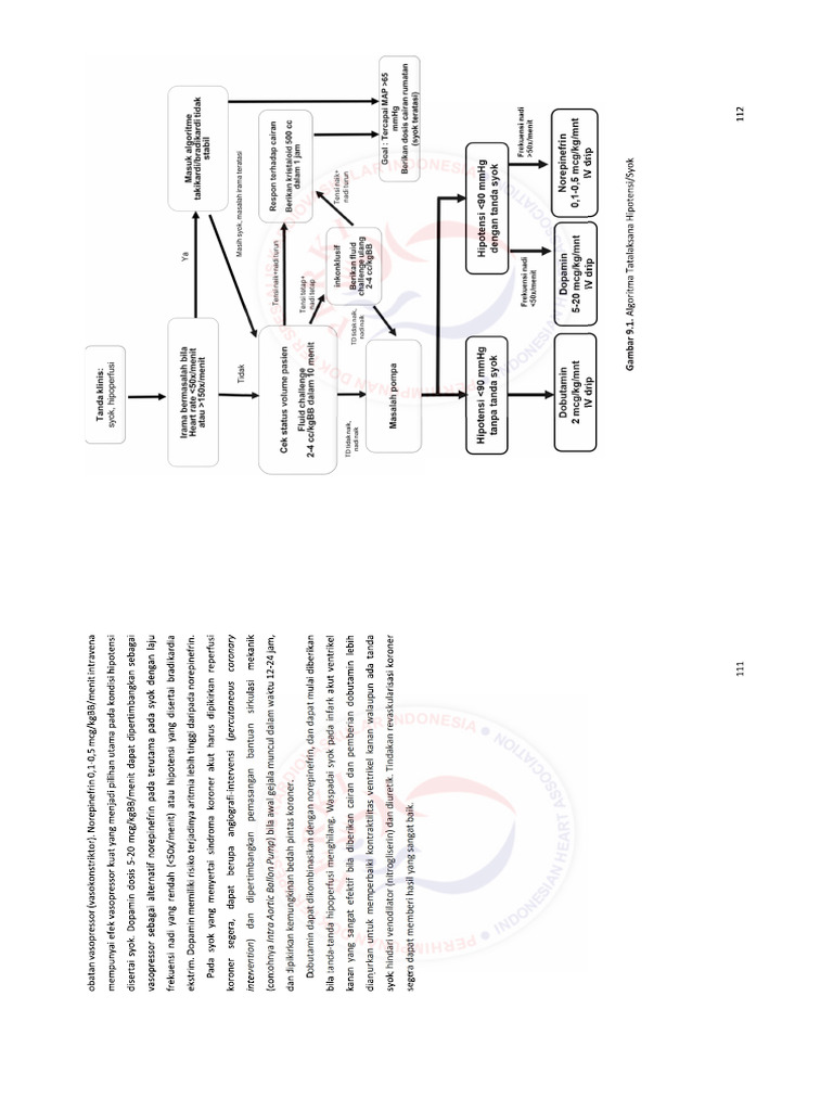 Acls II Print | PDF