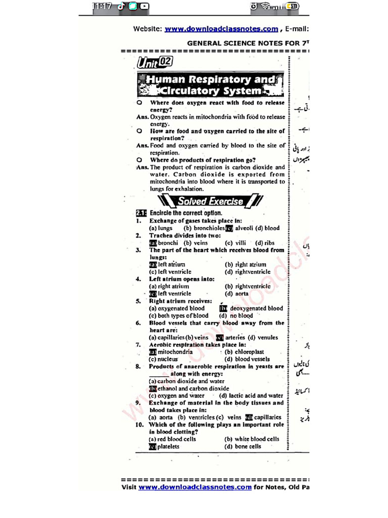 Unit#2 Class Vii | PDF