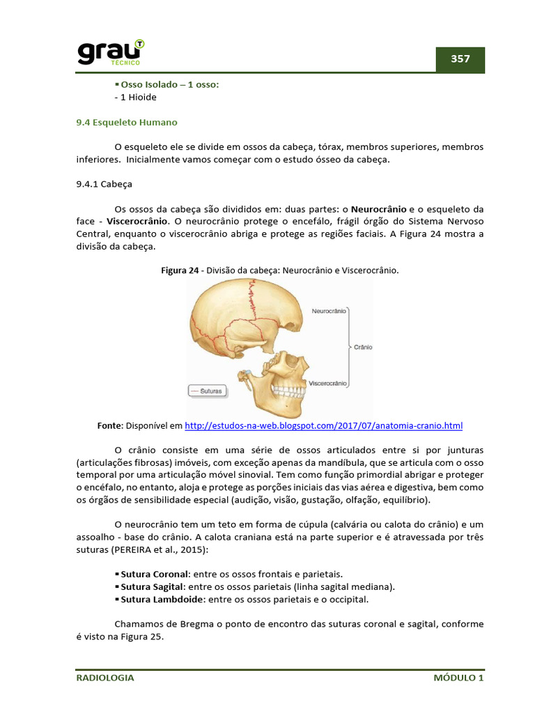 Estrutura Óssea da Cabeça e Face | PDF | Coluna vertebral | Vértebra