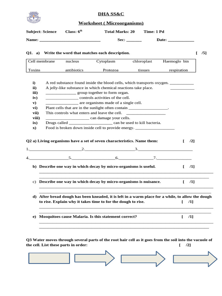 6th Grade Microorganisms Worksheet | PDF | Cell (Biology) | Microorganism