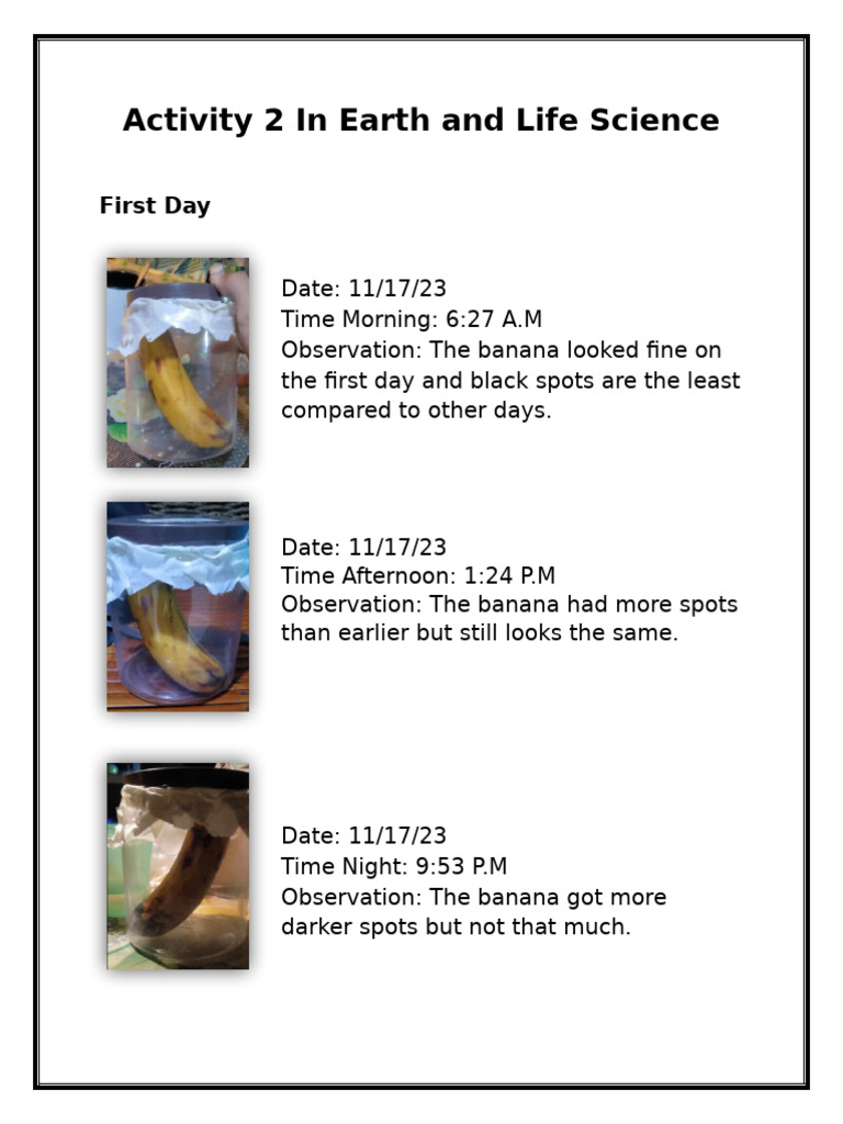 Banana Decay Observations Over Three Days | PDF | Social Science | Law
