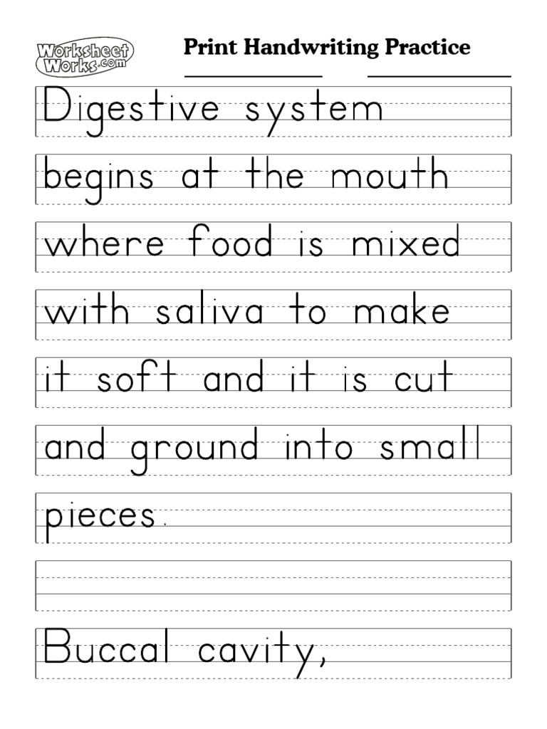 WorksheetWorks Print Handwriting Practice 1 | PDF