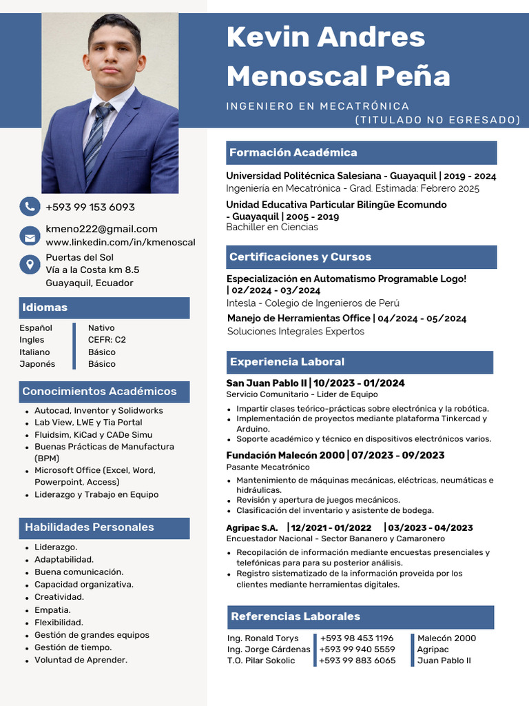 Luis Alfredo Menoscal: Perfil Profesional | PDF | Microsoft Office ...