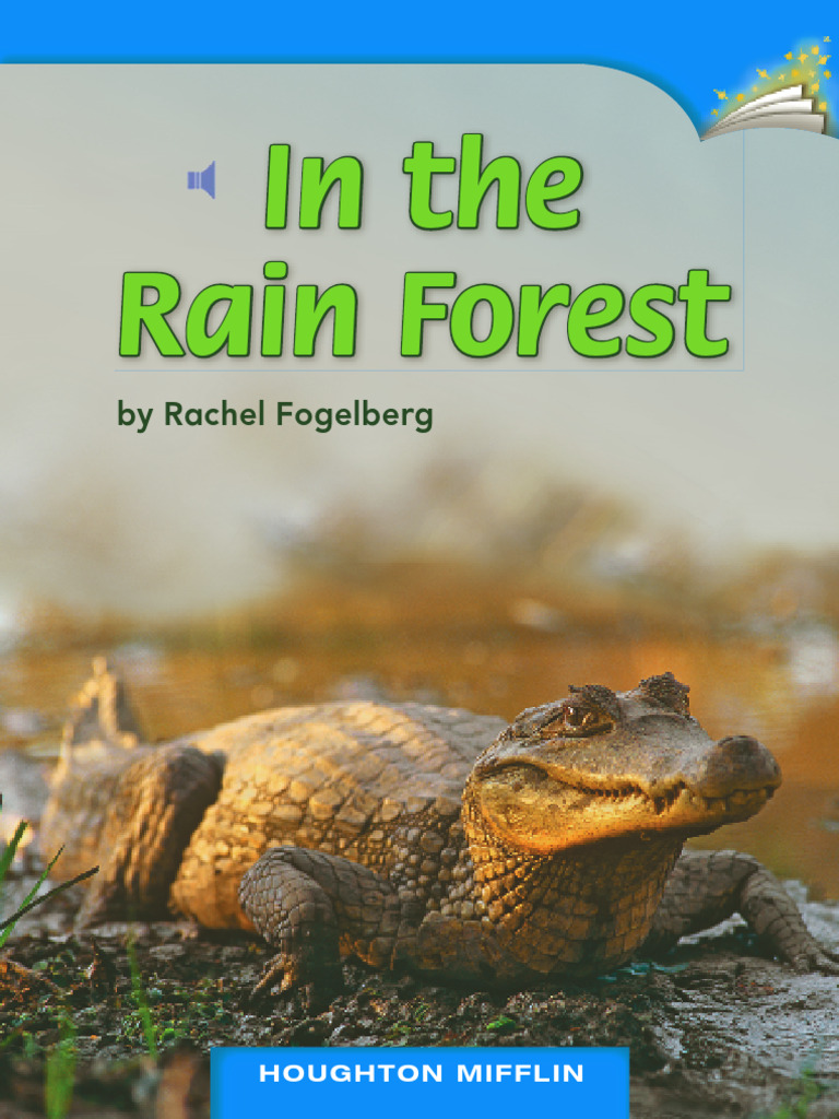 lesson8 | PDF | Freedom Of Expression Law | Copyright Law