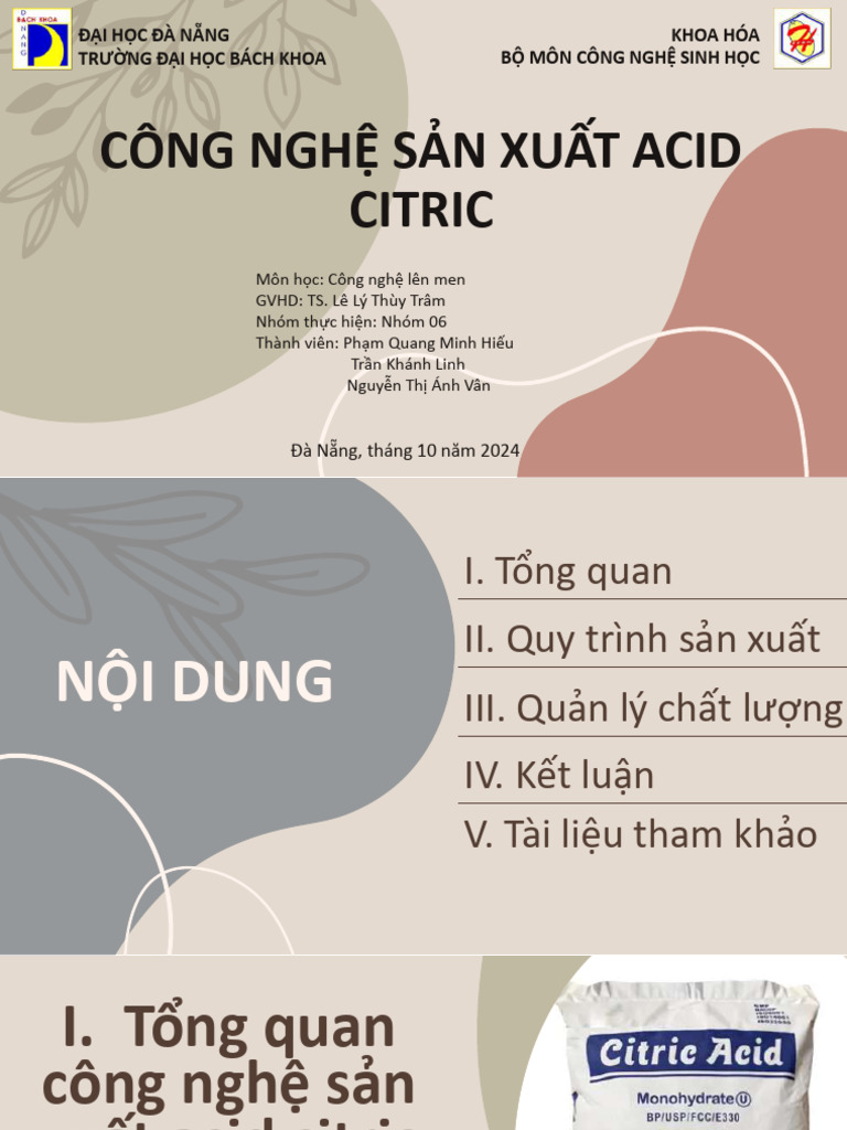 Nhóm 6 - Công Nghệ Sản Xuất Acid Citric | PDF
