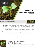 Module 4 Preparing Layout Design For Orchard | PDF | Rectangle | Orchard