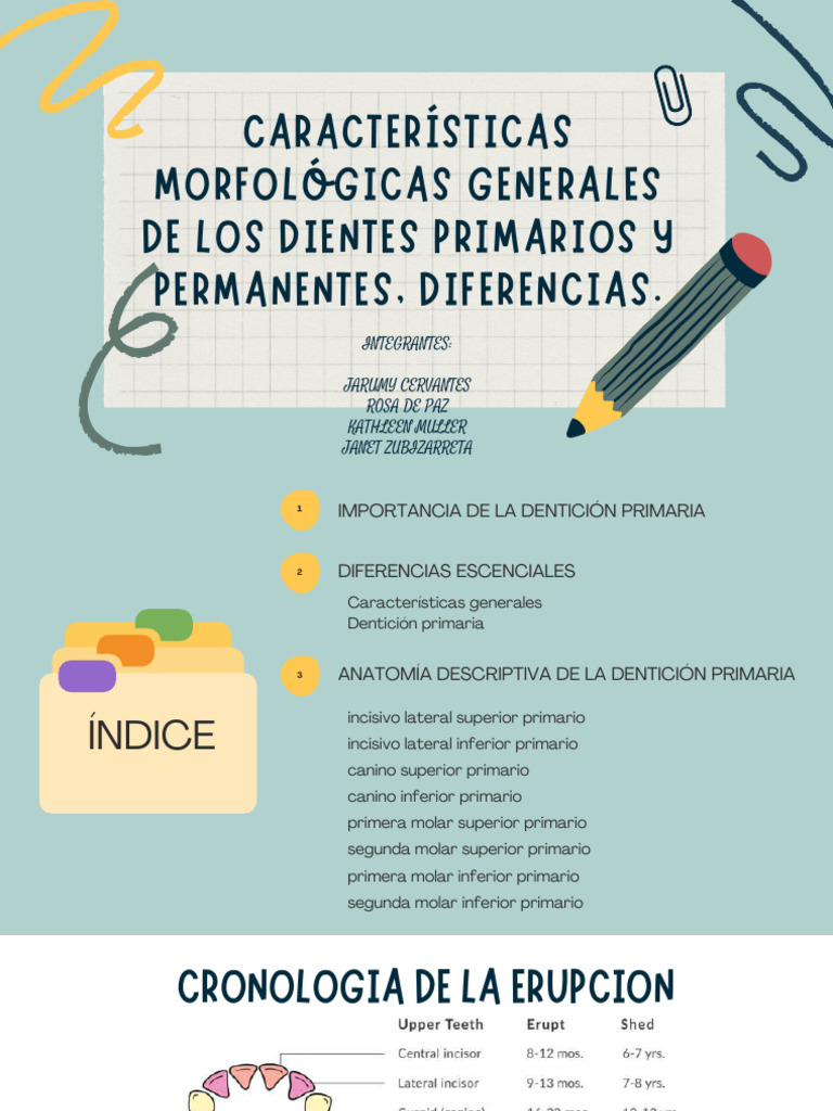Características Morfológicas Generales de Los Dientes Primarios y ...
