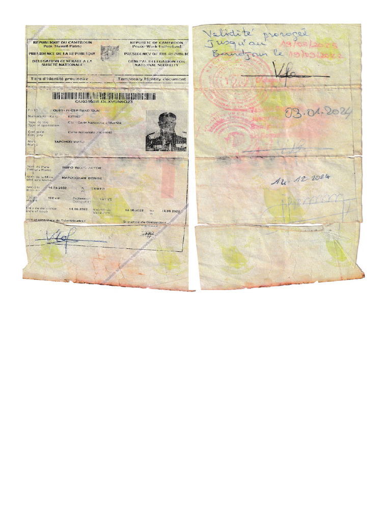 Cni Wafo | PDF