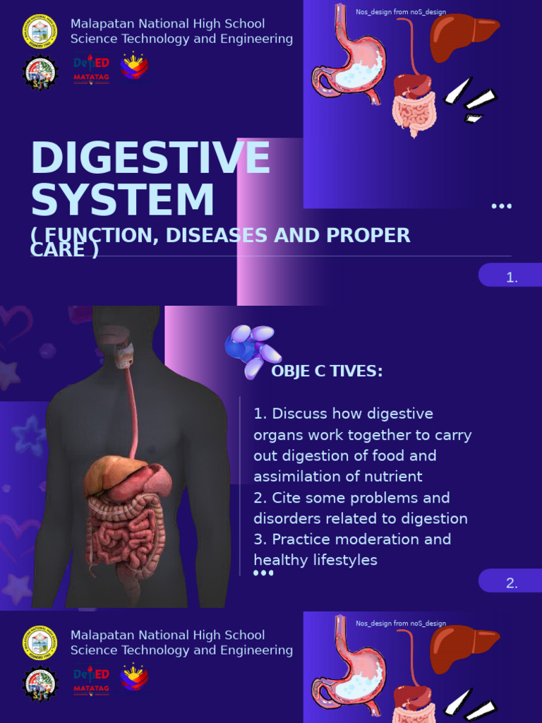 Digestive System: Functions and Care | PDF | Human Digestive System ...