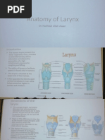 Anatomy of the Glottis and Subglottis | PDF | Larynx | Human Head And Neck