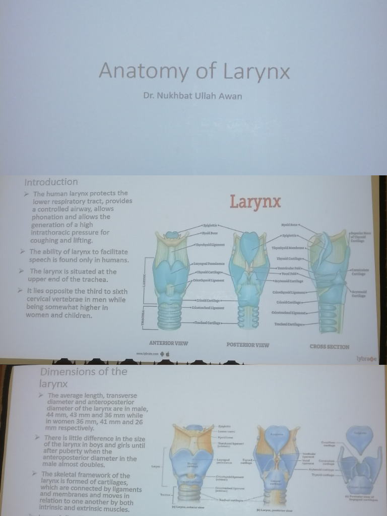 Anatomy of larynx DR NUKHBAT 16august ENT | PDF | Larynx | Human Throat