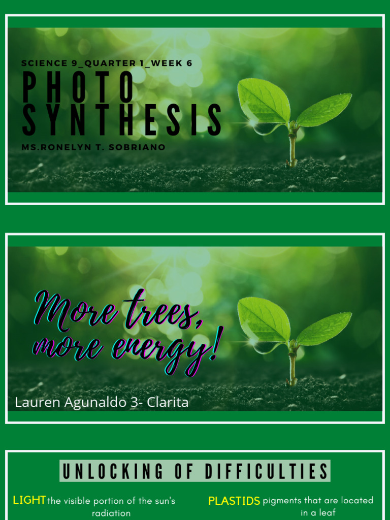 Understanding Photosynthesis Process | PDF | Photosynthesis | Chloroplast