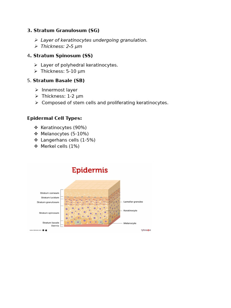 Document (1) (6) Page 3 Bushra | PDF