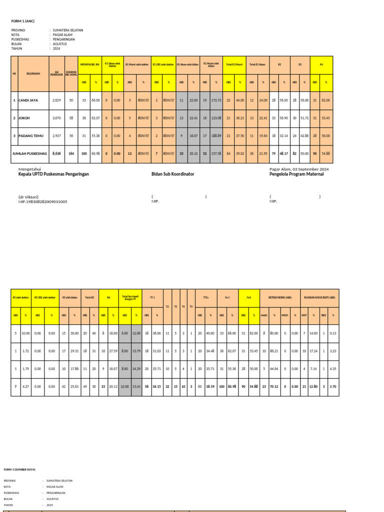 8 LAPORAN MATERNAL PKM PENGARINGAN | PDF