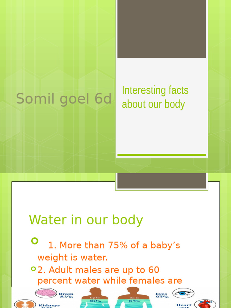 Fascinating Human Body Facts | PDF | Vertebral Column | Saliva