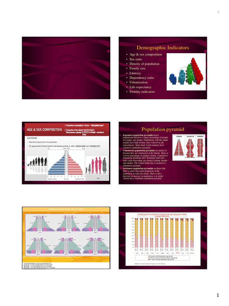 Demographic Trends and Indicators in India | PDF | Total Fertility Rate ...
