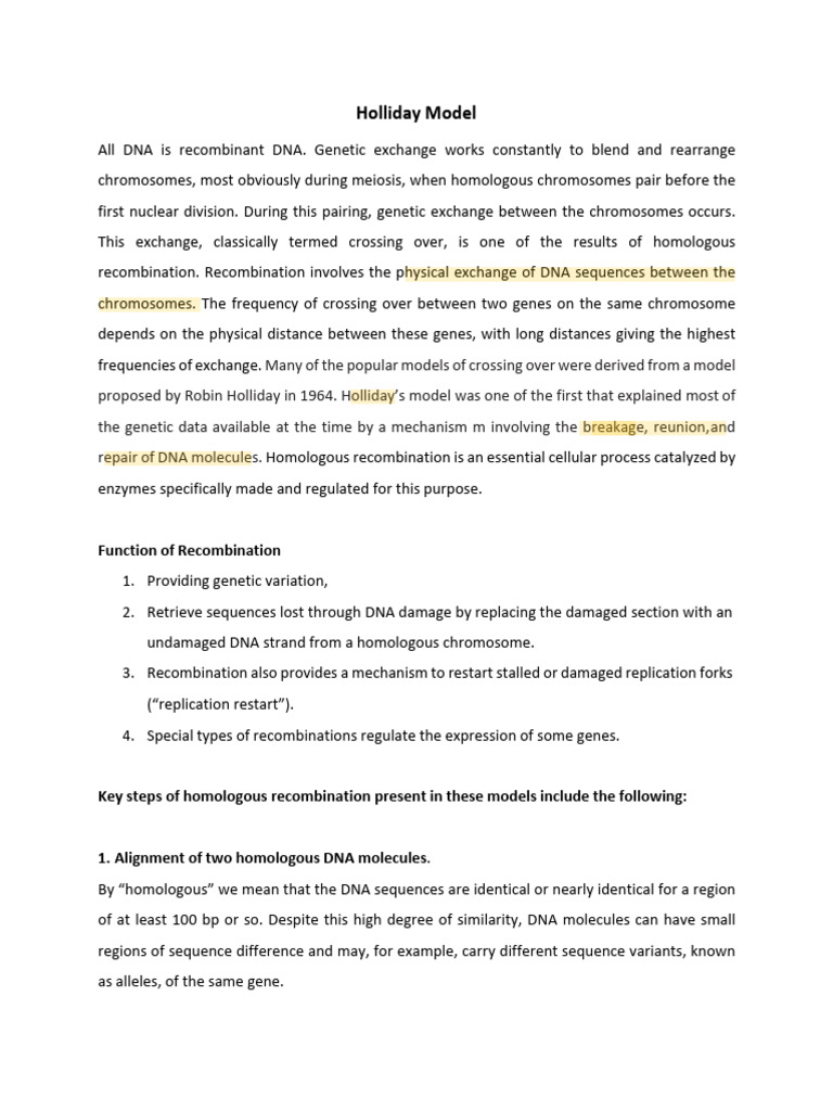 Holliday Model | PDF | Genetic Recombination | Dna