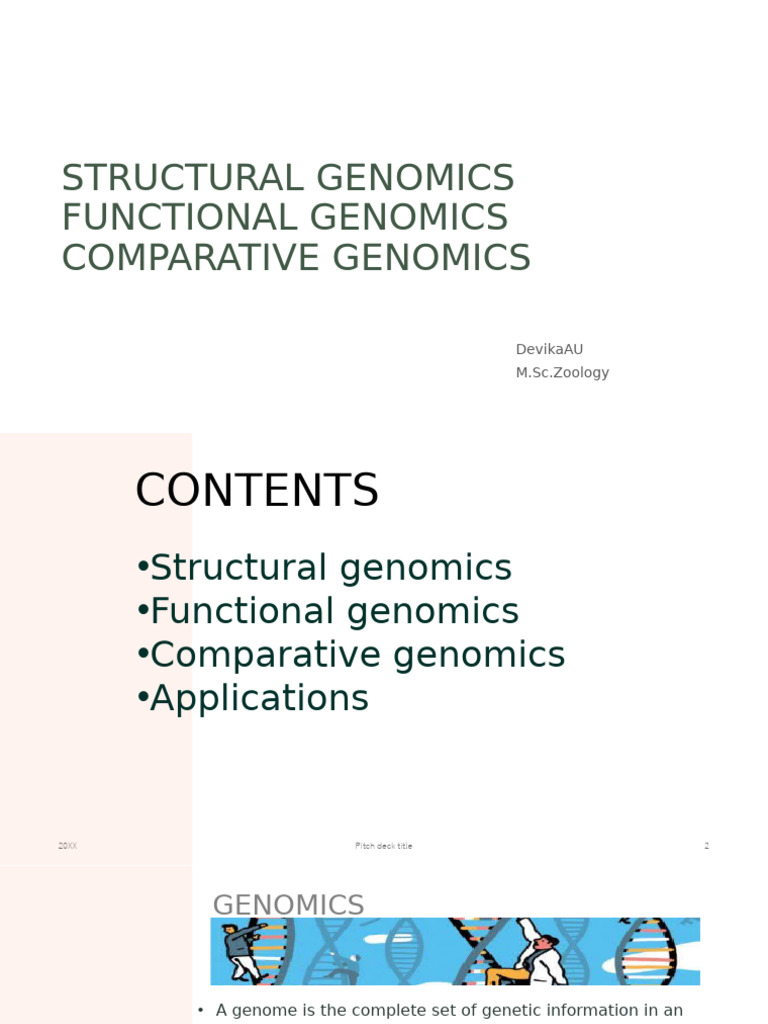 Structural Functional Comparative Genomics Pdf Genomics Transcriptome