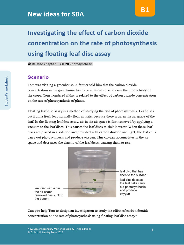 DSE Bio SBA Leafdisc Ss B1 e | PDF | Photosynthesis | Leaf