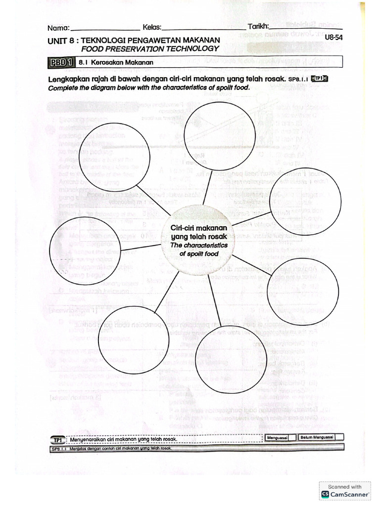 Exercise Primary 6 Science | PDF