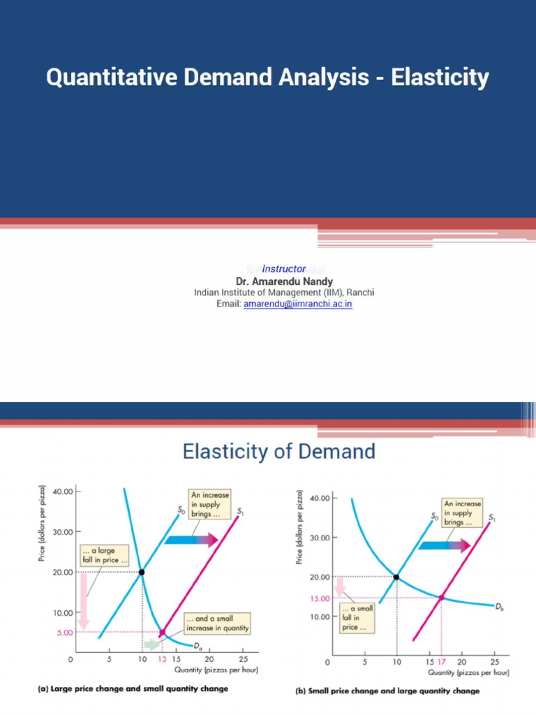 Elasticity | PDF