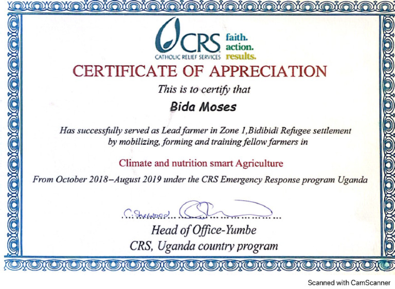 CRS Recommedation | PDF