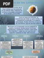 Inmunidad Específica | PDF | Linfocitos | Sistema inmune