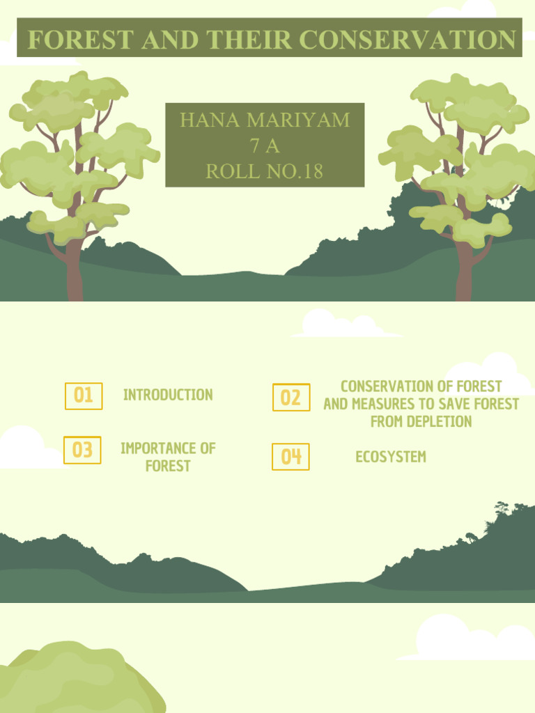 Forest and Their Conservation | PDF | Ecosystem | Forests