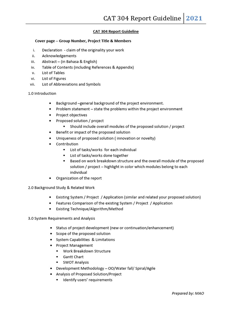 CAT 304 Report Guidelines 2021 | PDF | Software Testing | System