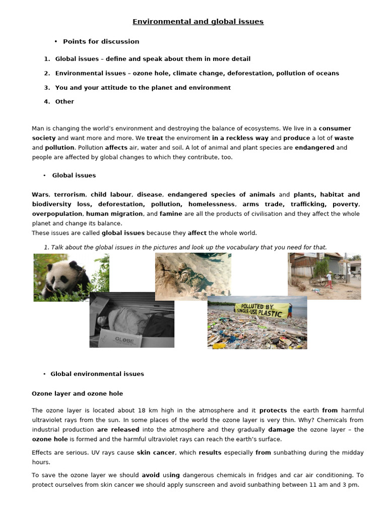 Environmental Issues and Solutions | PDF | Rainforest | Natural Environment