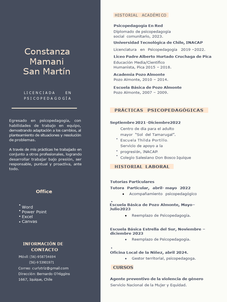 C. Vitae Constanza (1) (1) | PDF